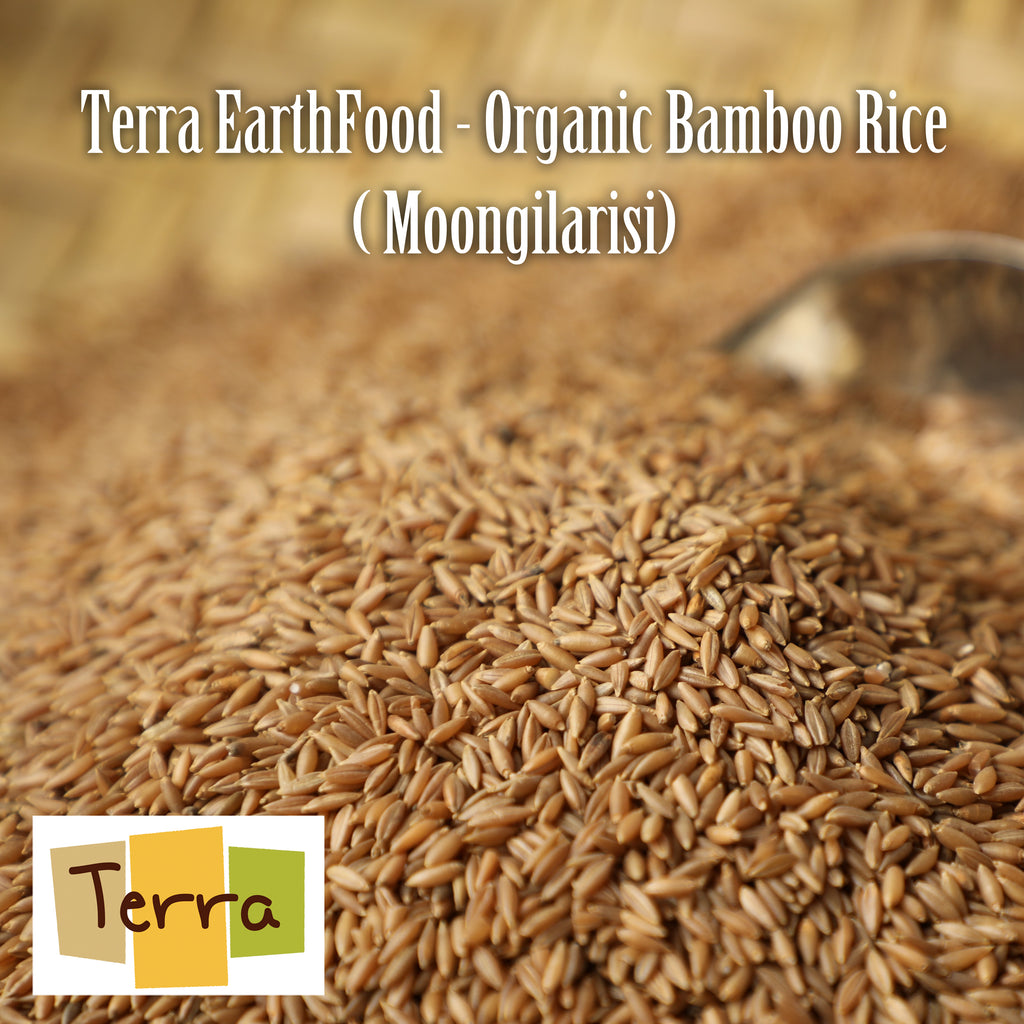 Terra-Bamboo Rice – Terra Earthfood